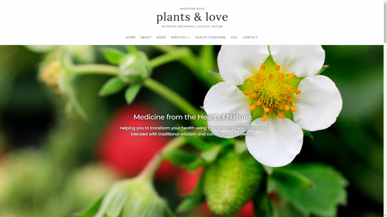 10 Best Naturopath Clinics in Perth [2026 ]