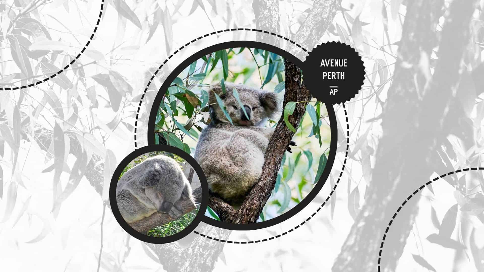 Top Things to Do in Adventure World for Kids [2026 ]
