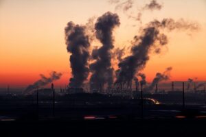 Perth’s Environmental Situation and What We Can Do About It [2025]