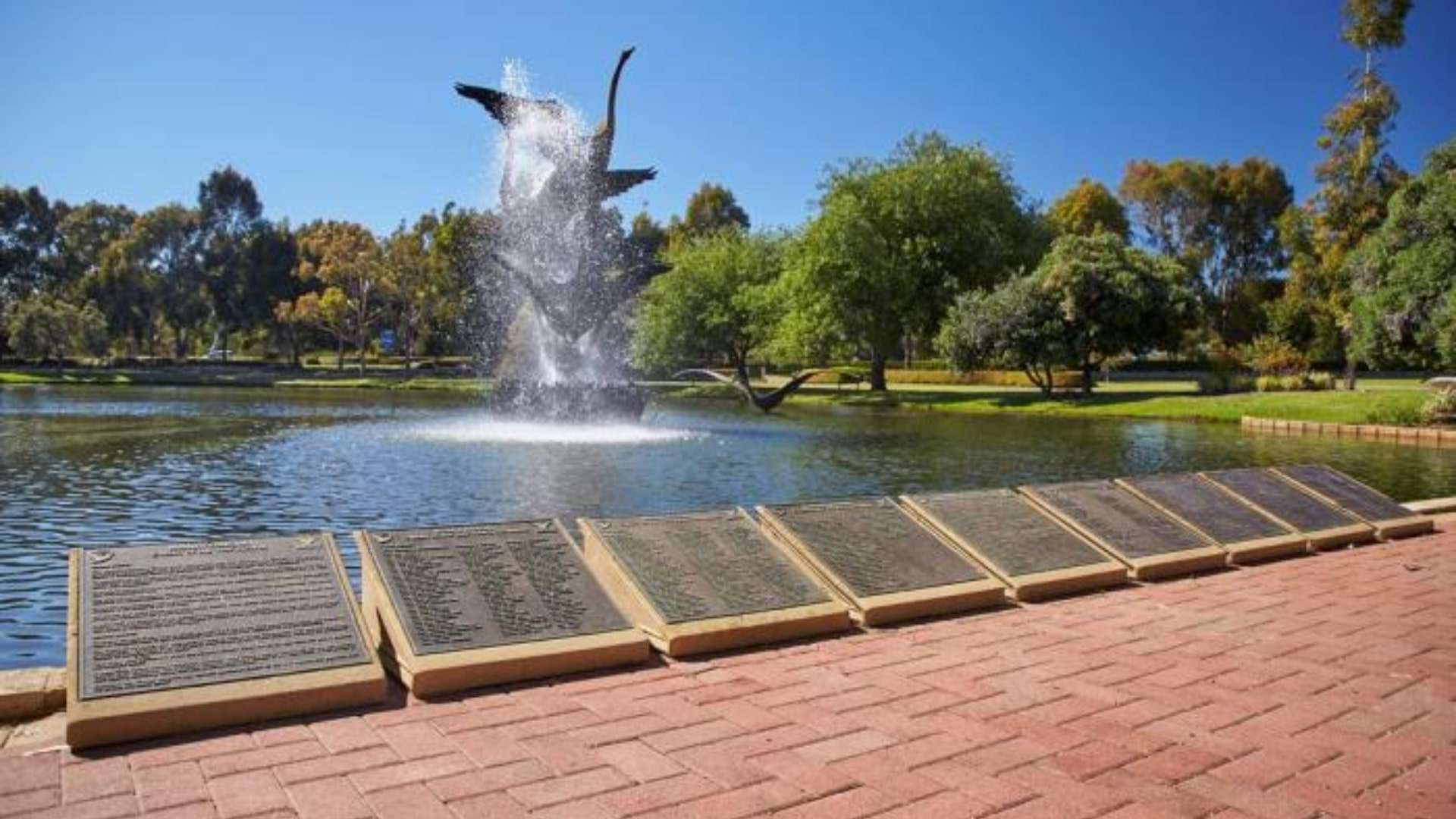 Things to Do in Victoria Park, Perth [2026]