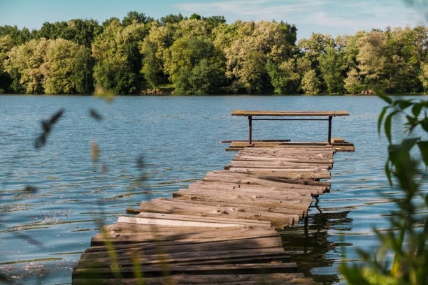 Perth’s Environmental Situation and What We Can Do About It [2025]