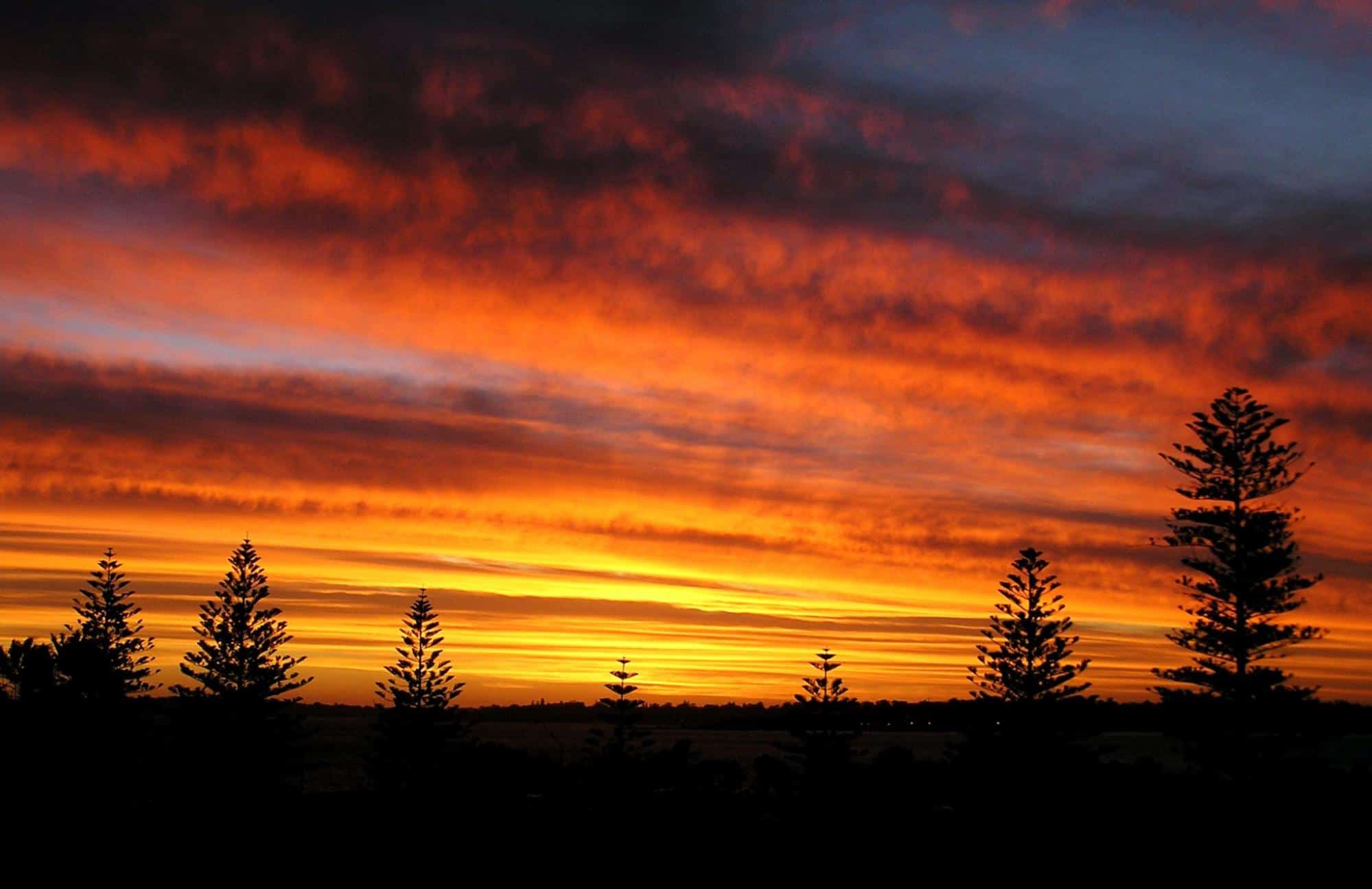 How hot is the weather in Perth, WA? [2026]