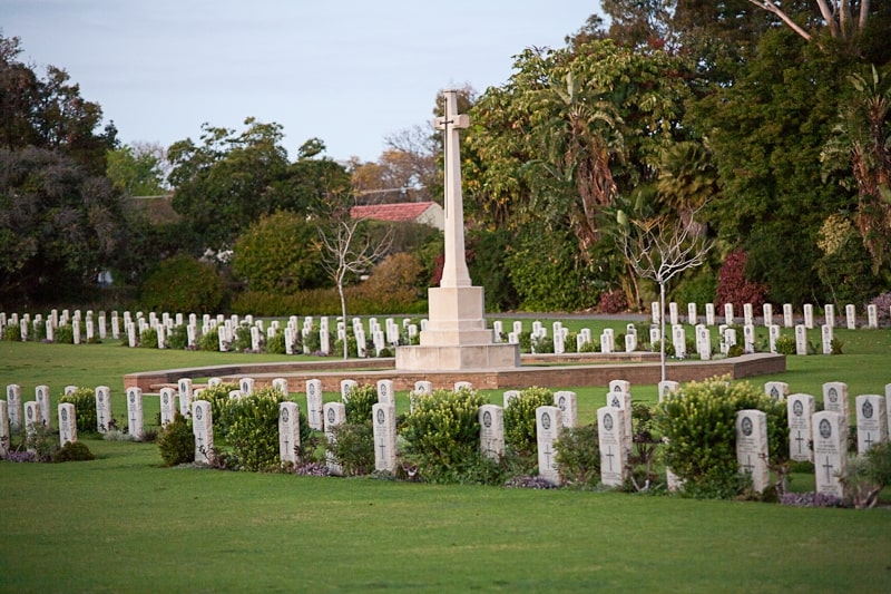 6 Best Things to Do in Nedlands, Perth [2025]