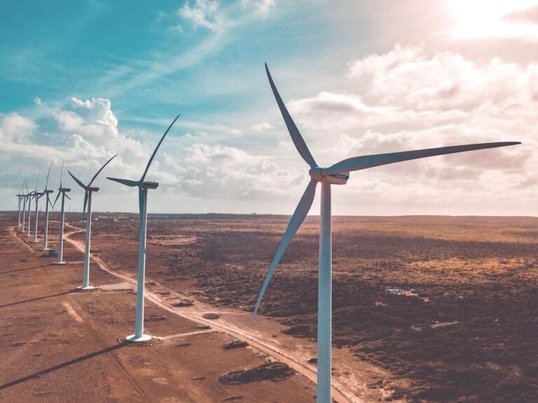 Perth’s Environmental Situation and What We Can Do About It [2025]