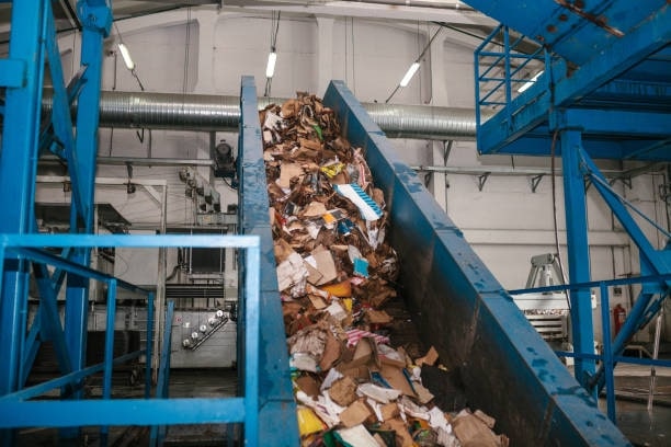 Perth’s Environmental Situation and What We Can Do About It [2025]