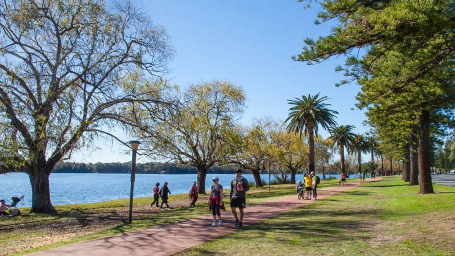 Things to Do in Vincent, Perth [2025]