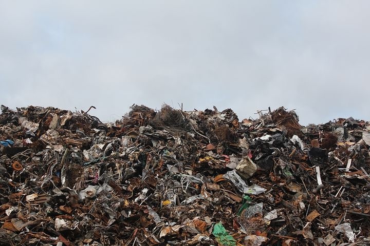 Perth’s Environmental Situation and What We Can Do About It [2025]