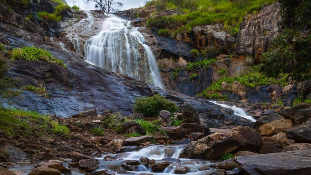Things to Do in Kalamunda, Perth [2026]