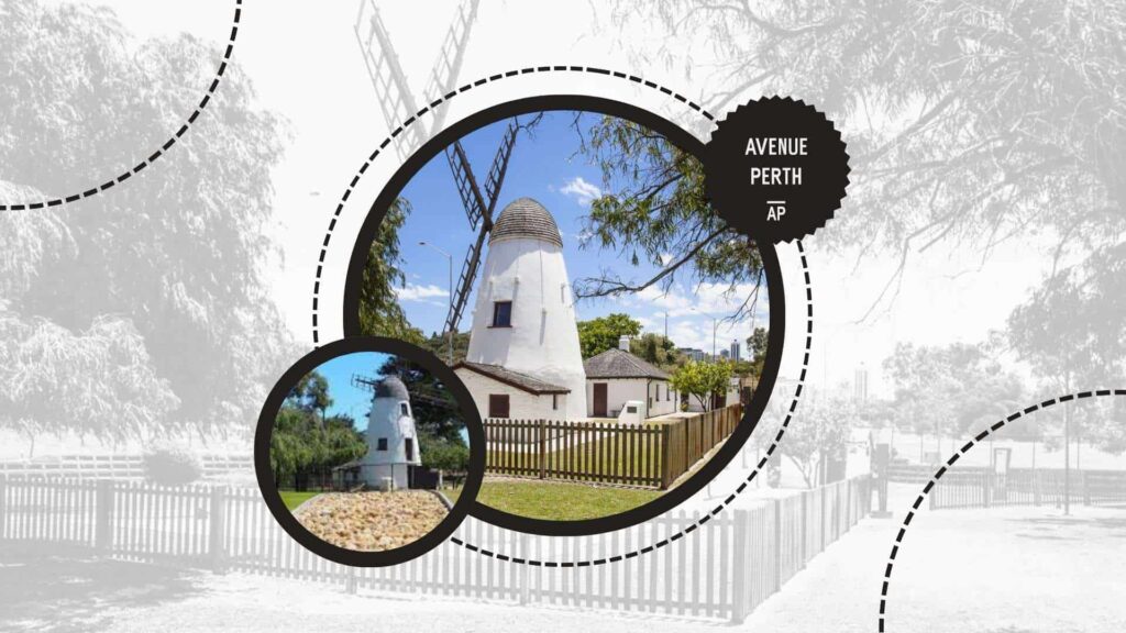 7 Best Things to Do in South Perth [2026 ]