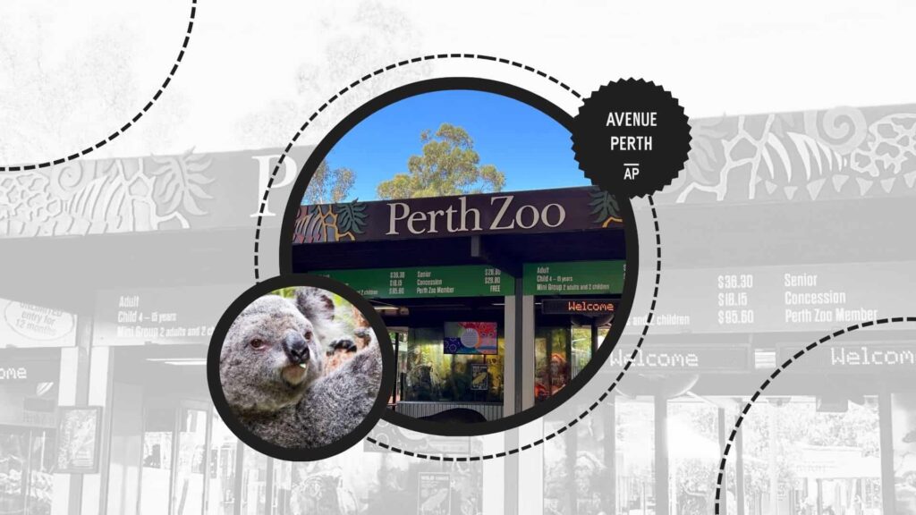 7 Best Things to Do in South Perth [2026 ]