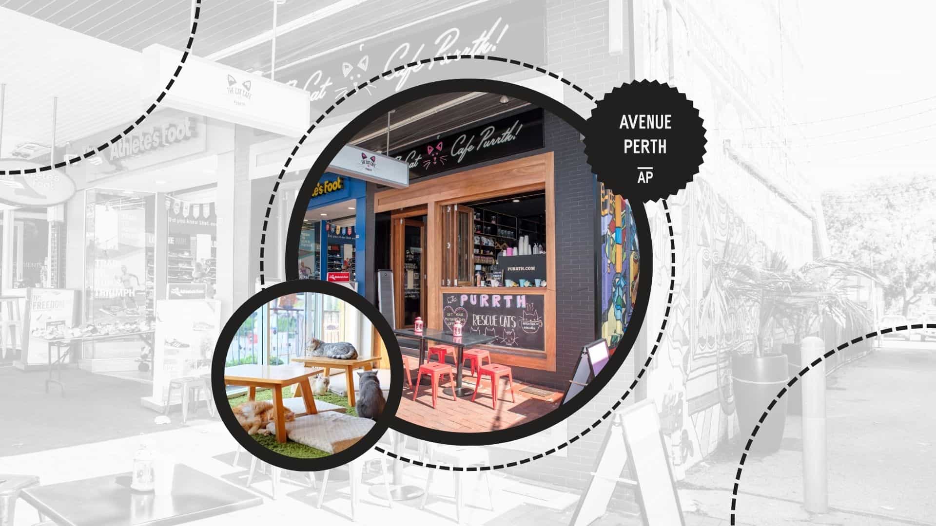 6 Best Things to Do in Subiaco, Perth [2026 ]