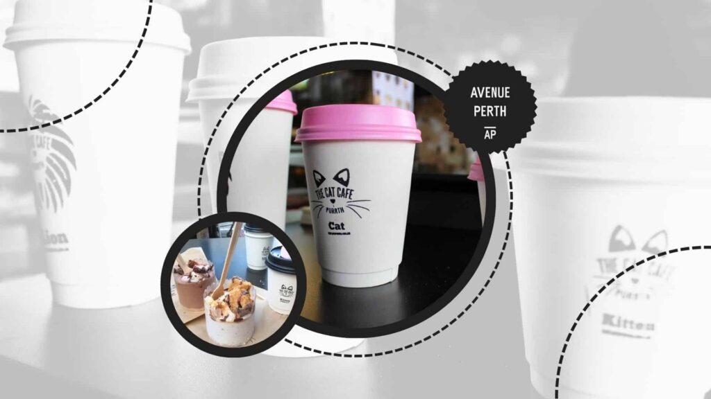 6 Best Things to Do in Subiaco, Perth [2025 ]