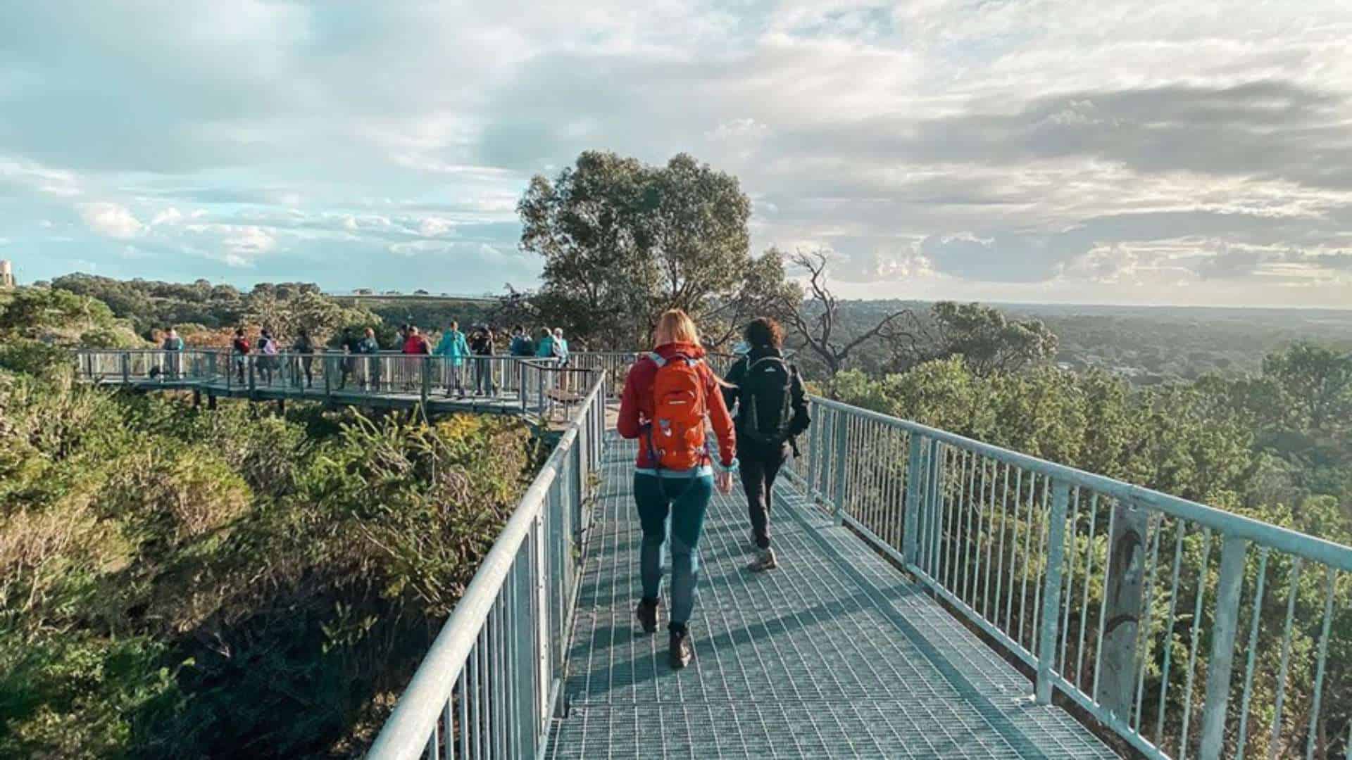 Perth's Natural Beauty: Top Scenic Walks and Hiking Trails [2025]