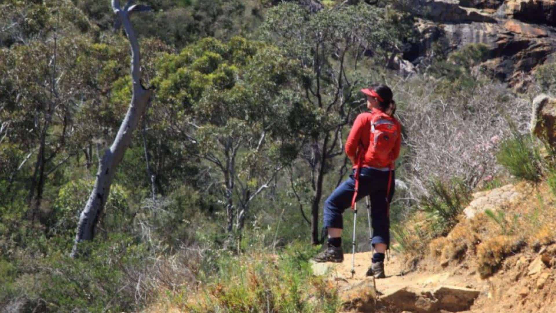 Perth's Natural Beauty: Top Scenic Walks and Hiking Trails [2025]
