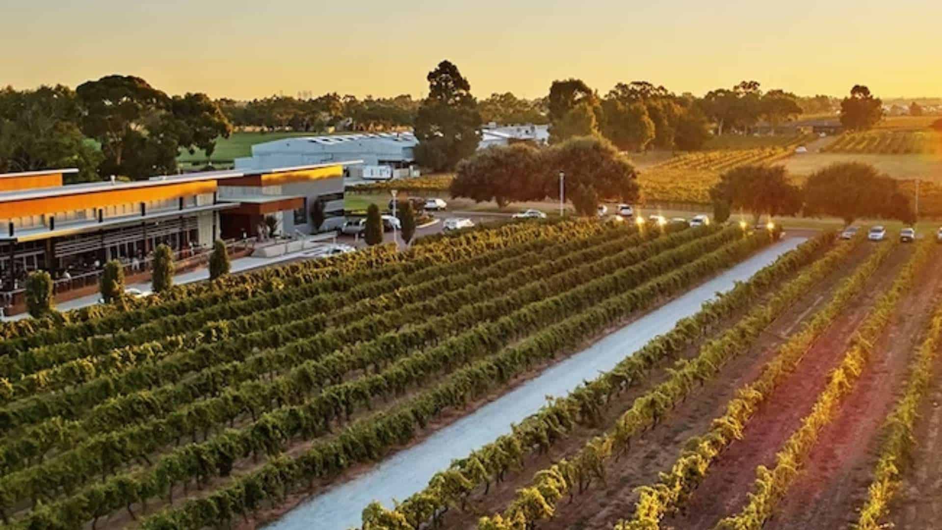 Perth's Natural Beauty: Top Scenic Walks and Hiking Trails [2025]