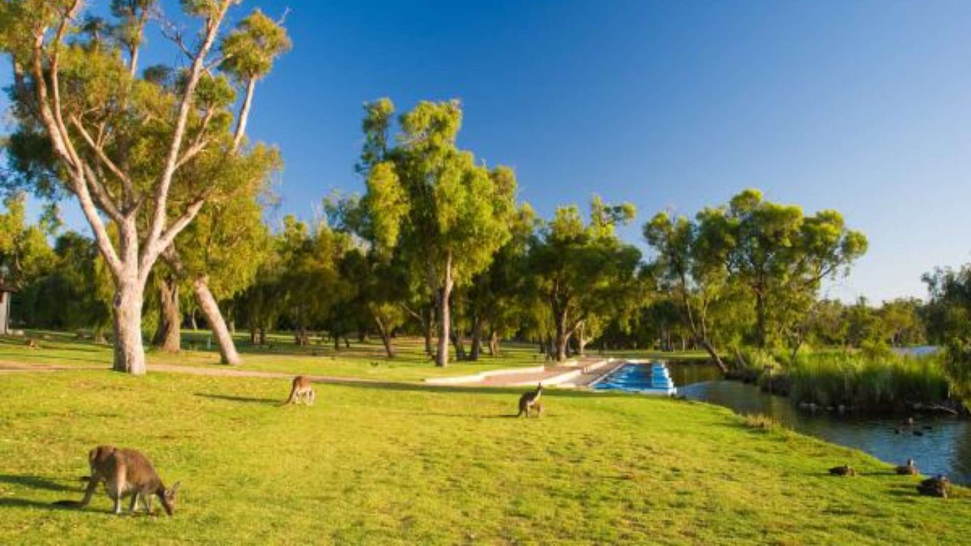 Perth's Natural Beauty: Top Scenic Walks and Hiking Trails [2025]