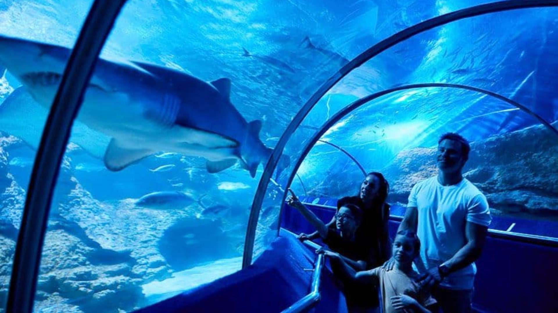 What to See and Do in Perth During Spring [2025]