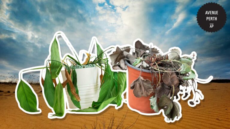 What You Need to Know About Perth’s Ongoing Water Scarcity