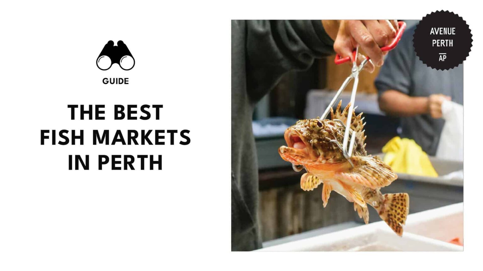 10 Fish Markets in Perth That’ll Leave Seafood Lovers Drooling