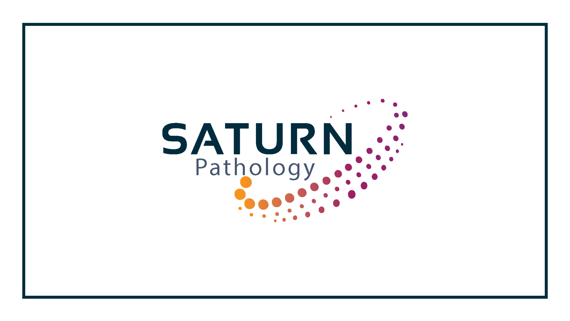 5 Blood Test Providers in Perth That Are Known for Accuracy
