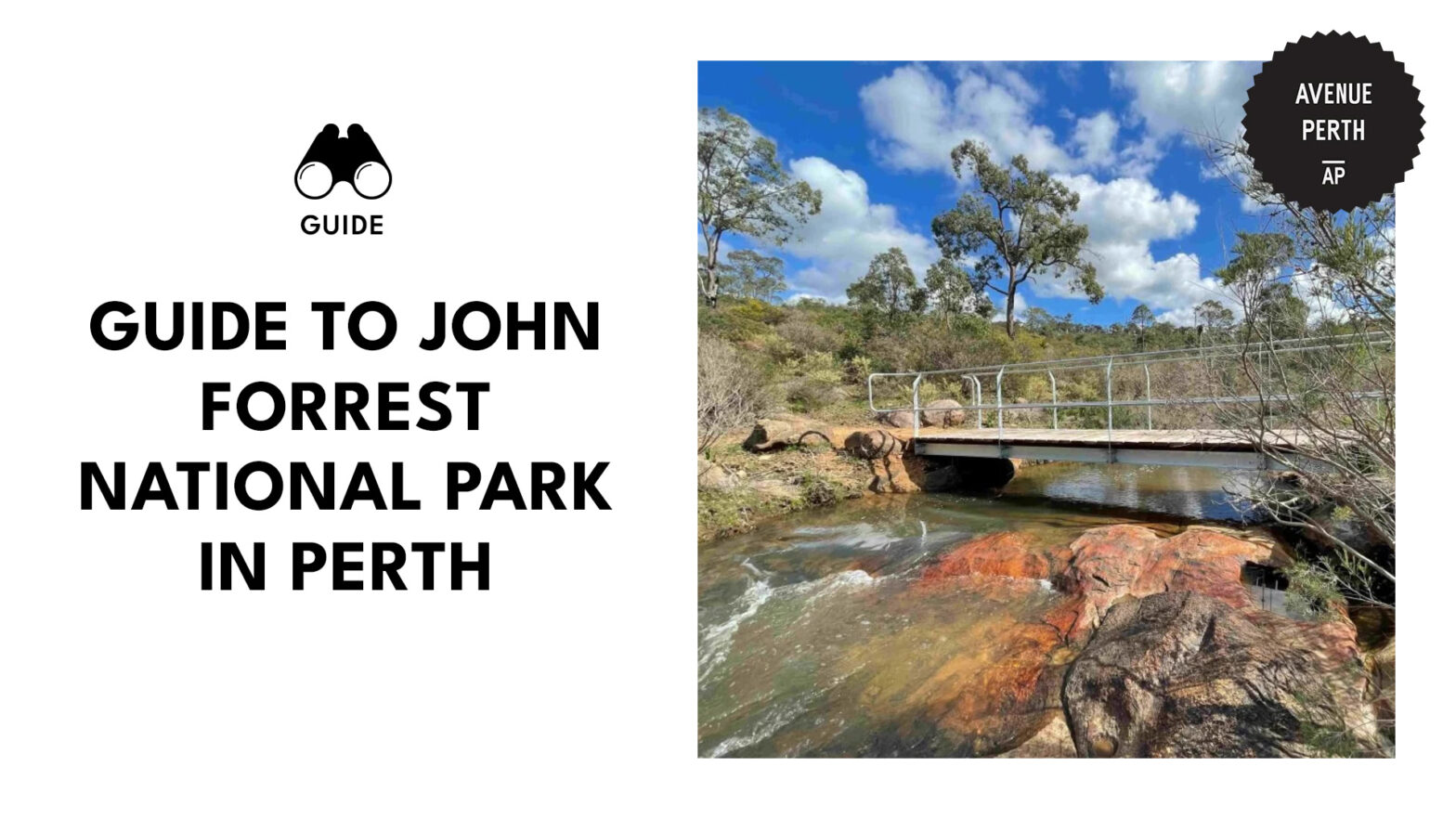 Trekkers’ Guide to the John Forrest National Park [2026]