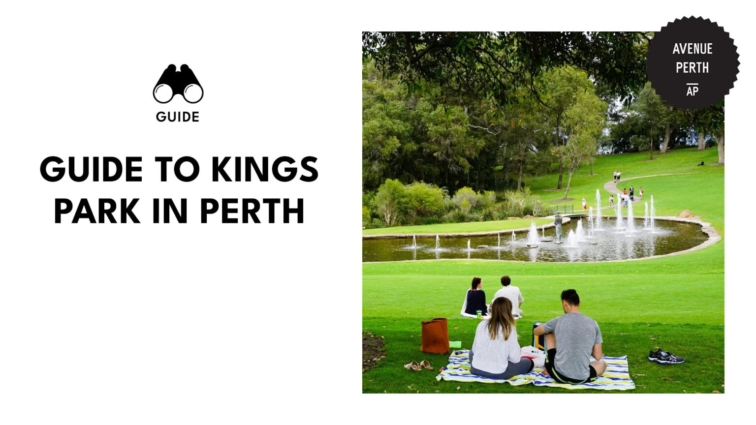 Dinos & gardens collide in this Kings Park travel guide! [2025]