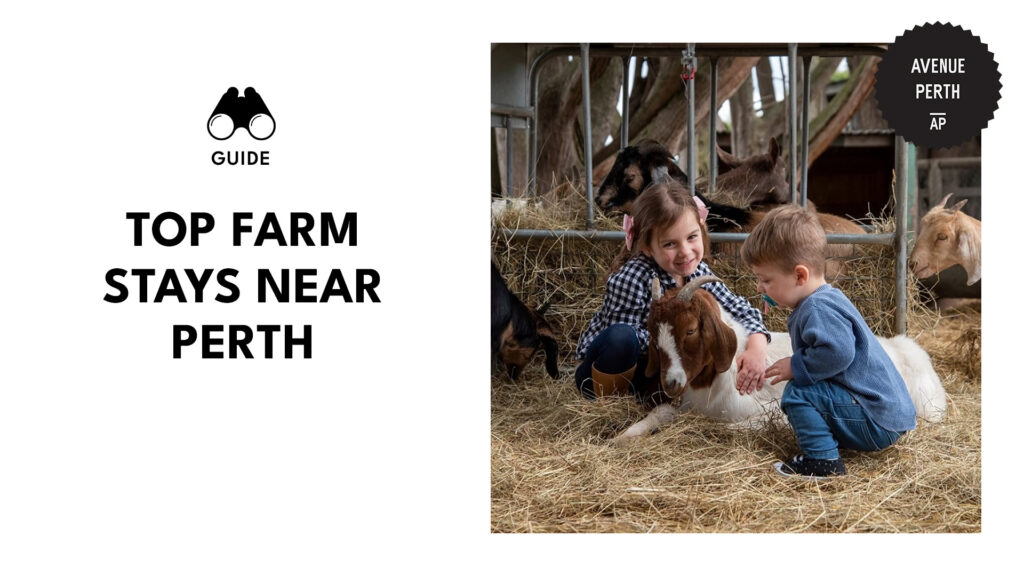 Ditch the chaos & chill at these 9 farm stays near Perth! [2026]