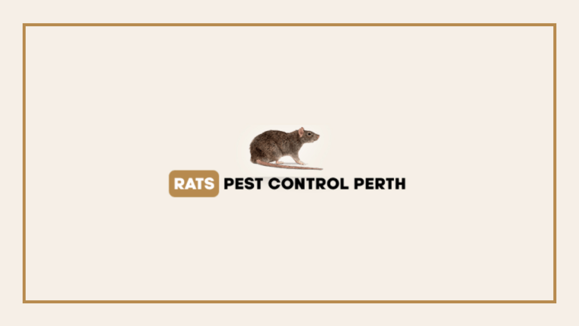 Reviewed: The Top 5 Pest Control Companies in Perth [2026 ]