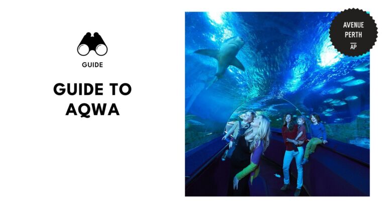 The Ultimate Guide to Perth’s Coolest Indoor Playgrounds