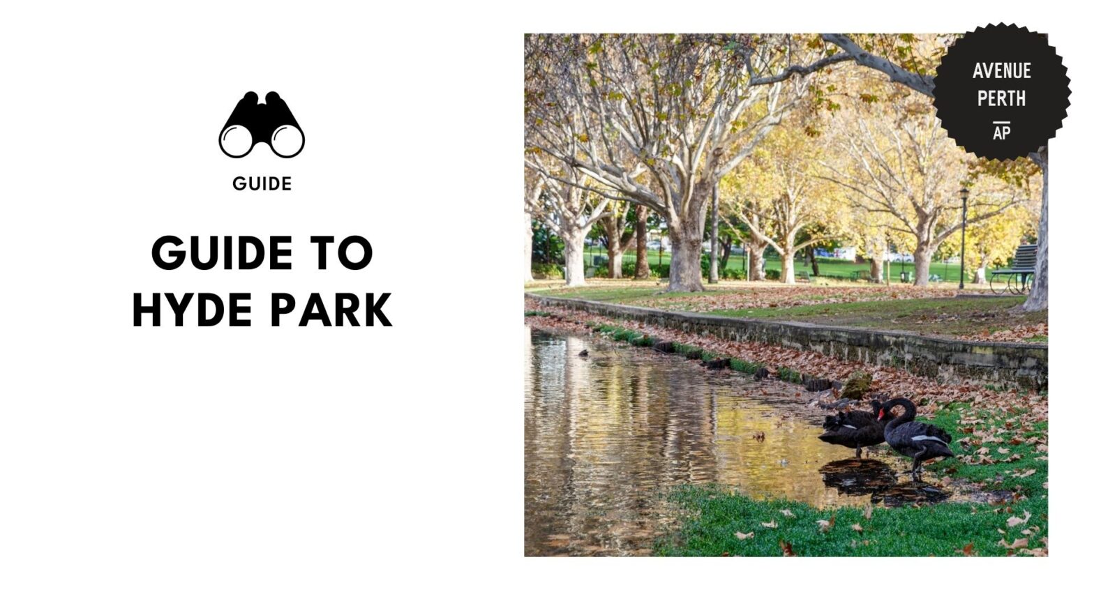 A Very Revealing Guide to Swanbourne Beach [2025]