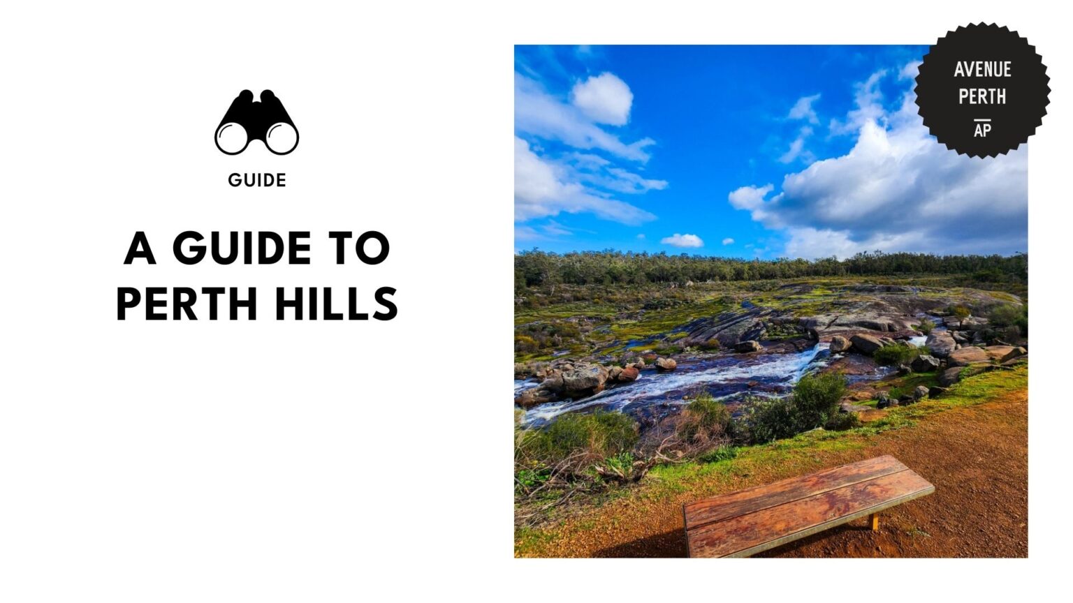 A Very Revealing Guide to Swanbourne Beach [2025]